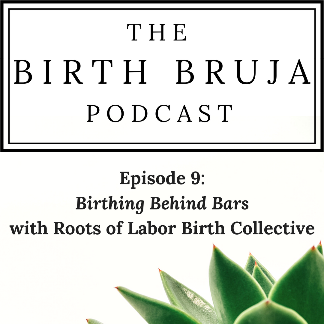 Ep. 9 Birthing Behind Bars, Roots Of Labor Birth Collective Pt. 2 | KPFA